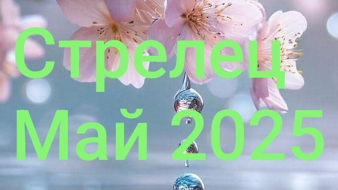 Стрелец. Май 2025 год. 🪻🪻🪻