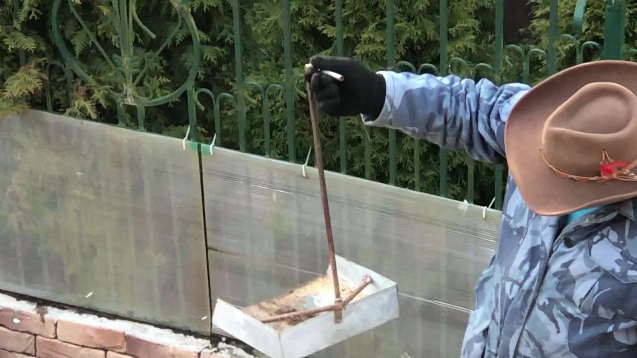 Тёплый февраль 2020 года