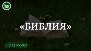 Стихотворение: «Библия»