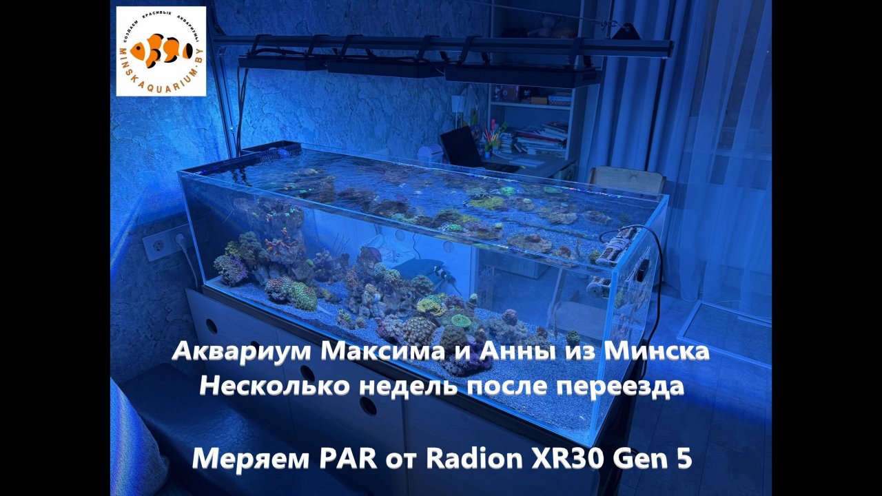 Меряем Ecotech Radion XR30. Морской Аквариум Максима и Анны.