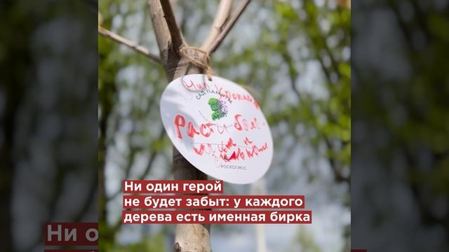 Красные клены в память о дедушке-фронтовике: звезды провели акцию «Сад памяти» на ВДНХ