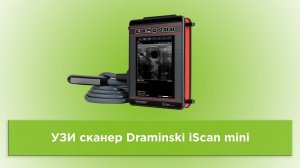 УЗИ сканер Draminski iScan mini