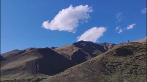 Экоферма кунцалу 27.04.2025г.