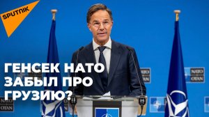 Каким будет будущее Грузии в НАТО?
