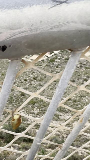 🔒Замочки от влюблённых❤️на мосту