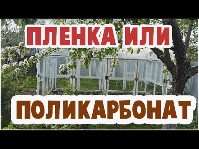 Пленка СВЕТЛИЦА вместо поликарбоната.