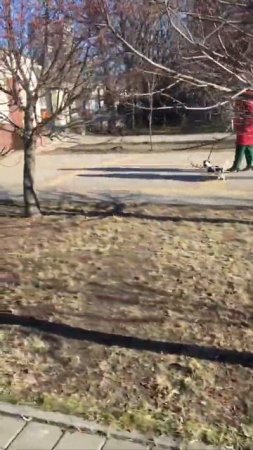 4 января 2020. Зима не пришла.