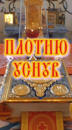 ПЛОТИЮ УСНУВ