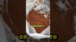 Секрет большой моркови в подготовке почвы и подкормки