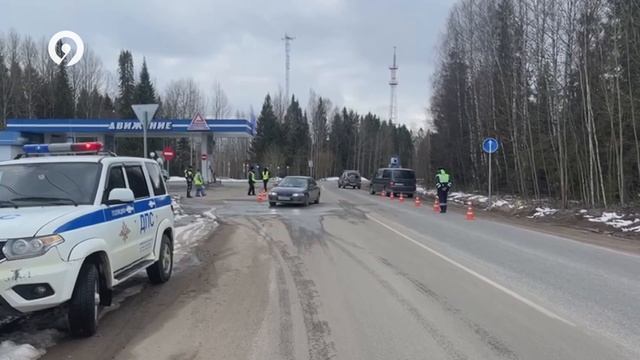 Про Безопасность. Мнения│ Пьяные водители