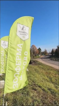 Парк отдыха «Зооферма Шихово» в Подмосковье