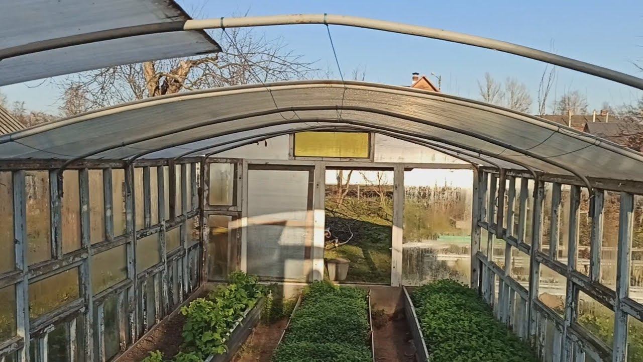 Простая теплица из старых оконных рам.