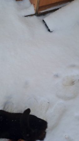 и снова зима