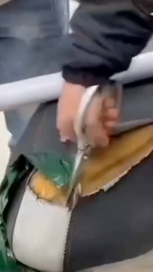 Если у мужа золотые руки, в доме не будет новых вещей