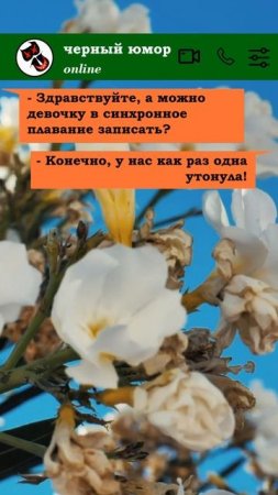 синхронное плавание #черныйюмор #анекдоты #приколы #юмор #blackhumor #humoryoutube #darkhumour