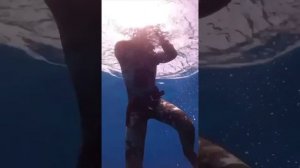 Осьминог едва не задушил дайвера.