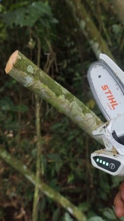 Stihl GTA 26 🧡🔋💪🏼 #shorts