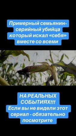 @vkino_real - названия доступны только подписчикам (подпишись и смотри лучшие фильмы и сериалы)
