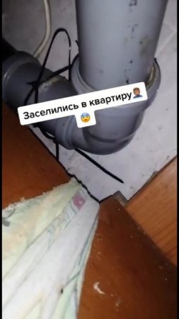 @vkino_real - названия доступны только подписчикам (подпишись и смотри лучшие фильмы и сериалы)