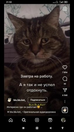 юмор)завтра на работу#funny#short#shorts