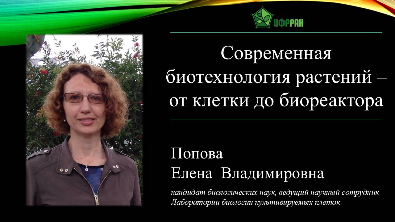«Современная биотехнология растений – от клетки до биореактора» (Елена Владимировна Попова)