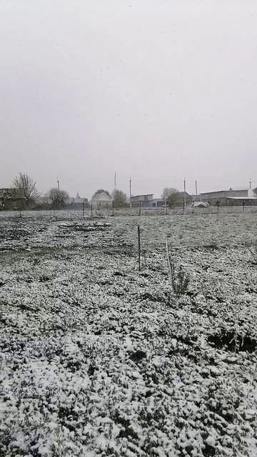 в Татарстане снегопад!