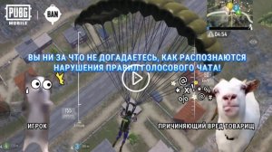 Нарушения в голосовом чате не останутся без наказания!
