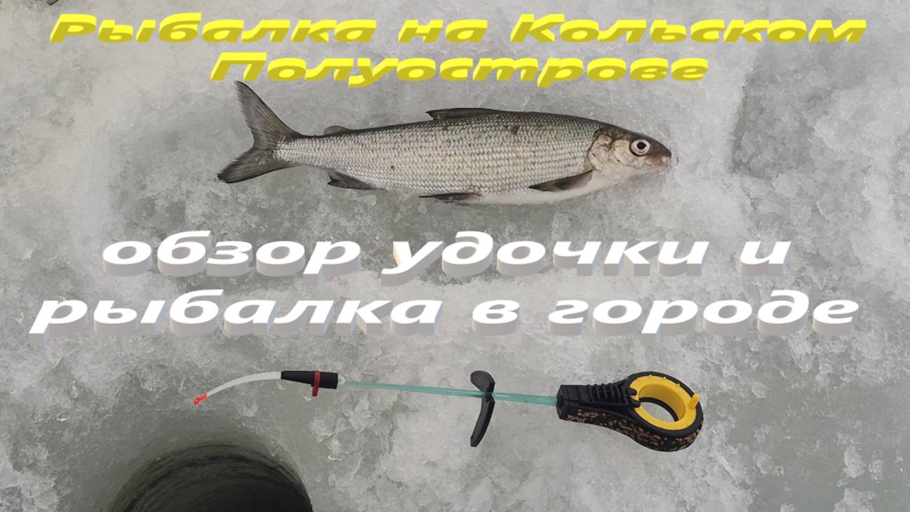 Обзор удочки и рыбалка в городе Мончегорск. Рыбалка на Кольском Полуострове.
