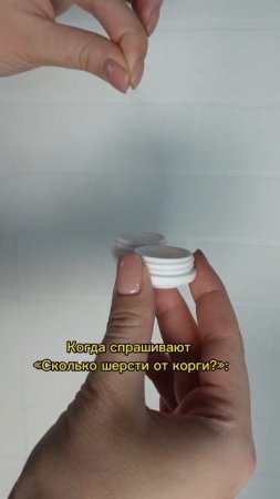 СКОЛЬКО ШЕРСТИ ОТ КОРГИ?? #смешныеживотные #собака #корги #юмор #жиза #смешно #dog #funny #shorts