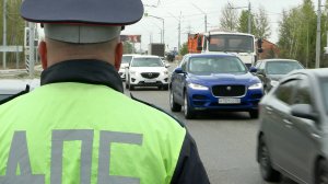 ГОСТИ НА ДОРОГАХ