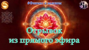 Отрывок из прямого эфира