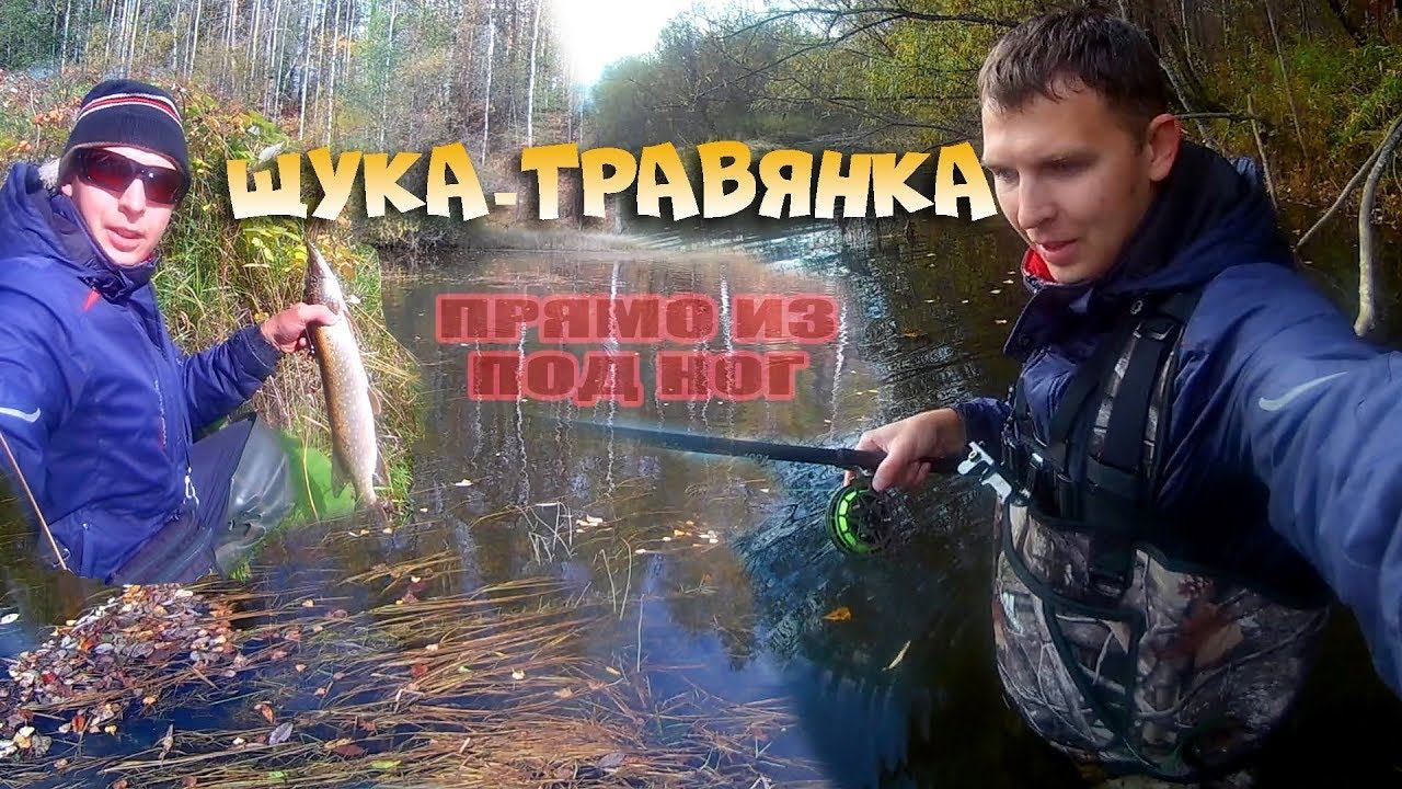 Ловля ЩУКИ-ТРАВЯНКИ на живца прямо ИЗ ПОД НОГ осенью. Рыбалка на Урале р.Каква