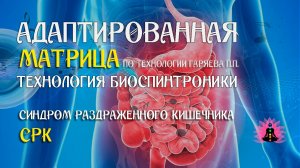 Синдром раздражённого кишечника (СРК) 🎶 программа матрица по технологии Гаряева П.П ☀️SoftRadio.ru