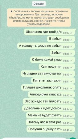 Школьник где твоё д/з #шортс #minecraft #майнкрафт #песня #приколы #shortvideo #юмор #жиза