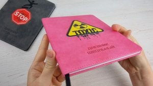 Дневник школьный, формат А5+, 48л., твёрдый переплёт, искусственная кожа "Ренцо", аппликация, 68743