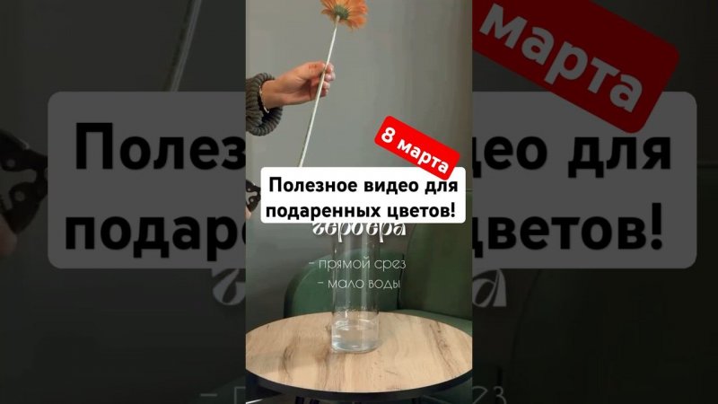 Как обрезать цветы, чтобы они дольше стояли #цветы #8марта #весна #советы #рекомендации #shorts