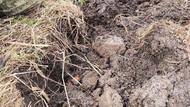 Открытие сезона шурф урочище