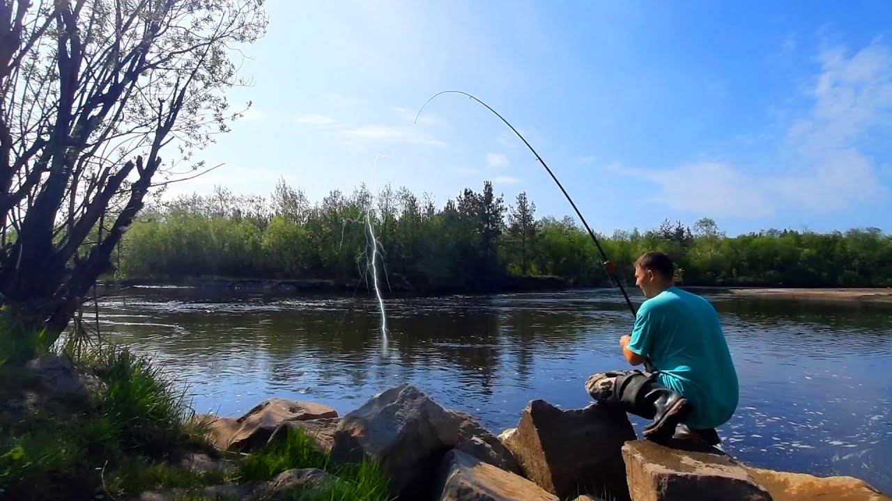 Ловим щуку на ЖИВЦА в +30 градусов жары. р.Каква.