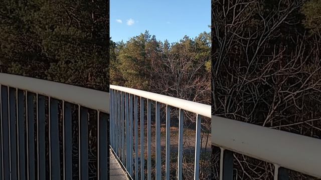 Тропарь греческий святому Корнилию Сотнику