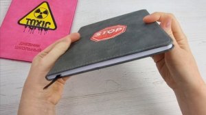 Дневник школьный, формат А5+, 48л., твёрдый переплёт, искусственная кожа "Ренцо", аппликация, 68742