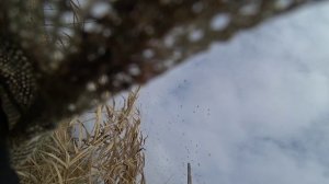 Вот такие дела братцы...