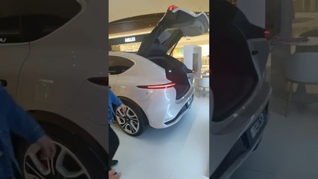 IM LS7 с фишкой, рассказать?#electriccar #электромобилиизкитая #электромобиль #chinacar
