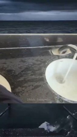 #shorts  #meme #funny #memes #мем #мемы 52