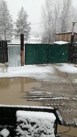 Зима