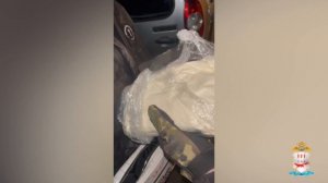Сбыт партии мефедрона, доставленного в регион двумя жителями Саранска, предотвратила полиция