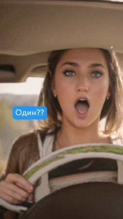 еду по встречке #прикол #юмор #комикс #семья #случайизжизни