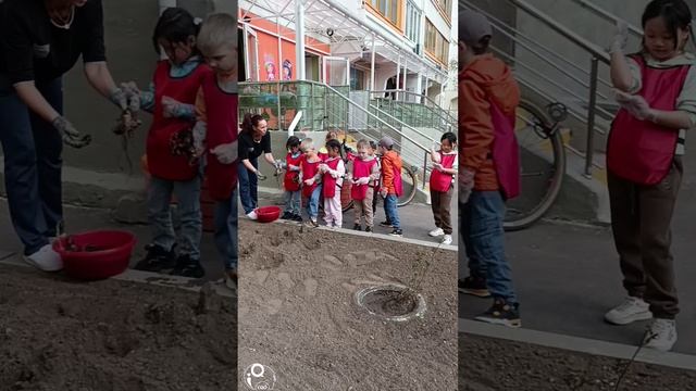 Природа замышляет волшебство.