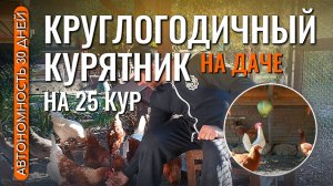 КРУГЛОГОДИЧНЫЙ курятник на 25 кур на даче с АВТОНОМНОСТЬЮ до 30 дней
