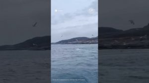 У вас уже есть планы на это лето? Автор: Географика #shorts