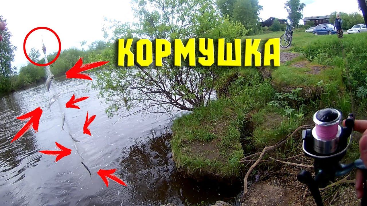 Поймать живца за 5 минут без крючка и поплавка. Кормушка с AliExpress/ РЫБАЛКА НА УРАЛЕ 2020.